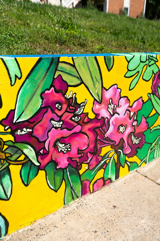 Liz Haywood: Shop Original Art + Hire a Muralist. – LIZHAYWOOD